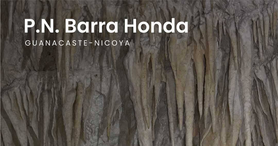 Parque Nacional Barra Honda/ Caverna Terciopelo – La Fiebre de Viajar